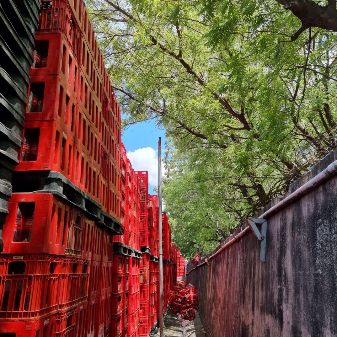 Acerca de nosotros - Multi Servicios Jarquin